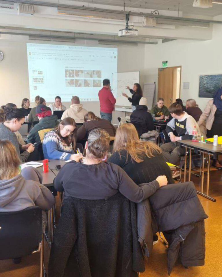 News from Iceland - Green Tales